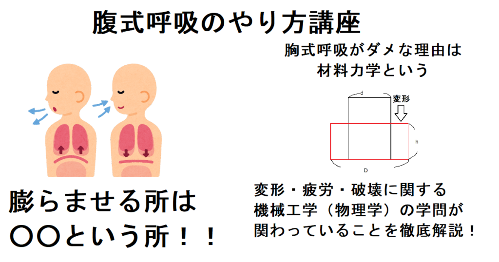 腹式呼吸で最初に膨らませる場所を教えると共に胸式呼吸がダメな理由を材料力学の目線から解説します。jal123便事故原因と本質は同じ